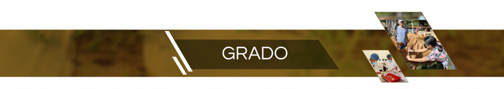 InicioUNIAV – Universidad Internacional Antonio de Valdivieso