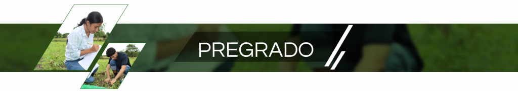 InicioUNIAV – Universidad Internacional Antonio de Valdivieso