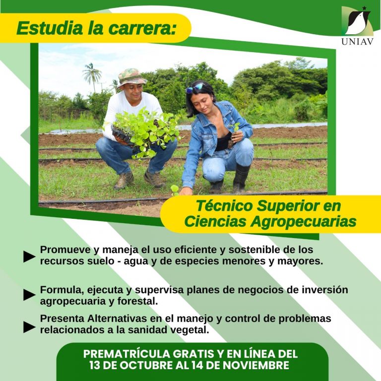 Comienza tu futuro con UNIAV – Universidad Internacional Antonio de ...