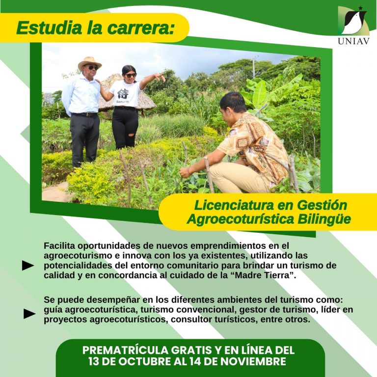 Comienza tu futuro con UNIAV – Universidad Internacional Antonio de ...